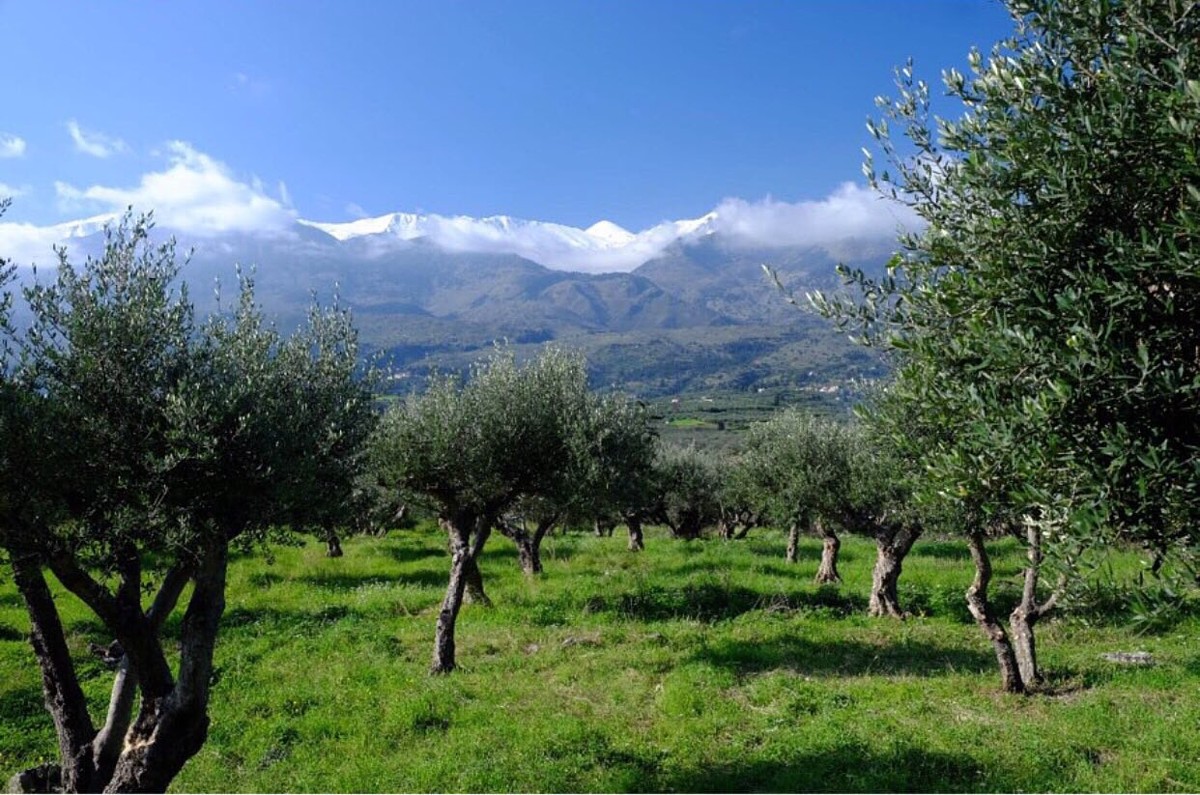 Land for sale in Crete - Euroland Crete Property